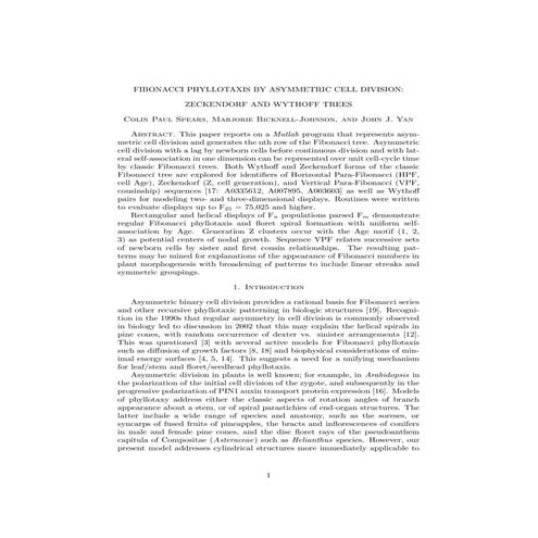 Algorithm - Fibonacci Phyllotaxis by Asymmetric Cell Division | PPT