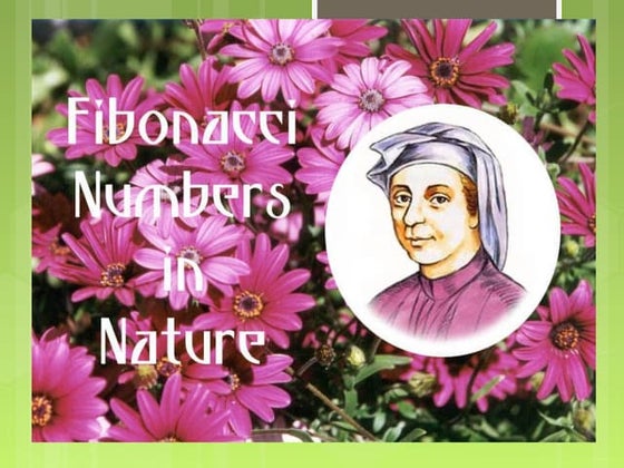 Fibonacci sequence | ODP | Physics | Science