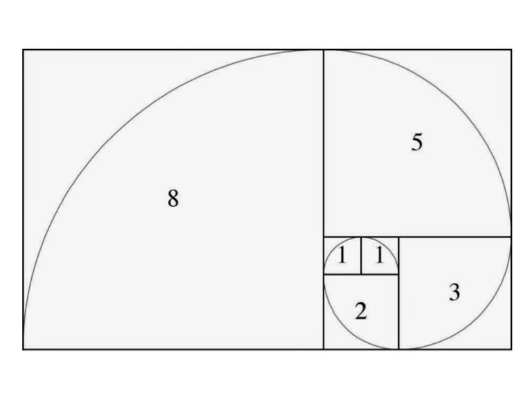 Fibonacci spiral sheet
