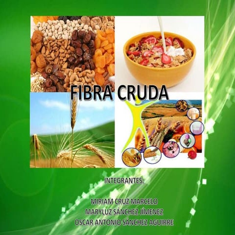 Fibra cruda | PPTX