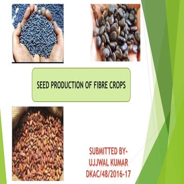 Fibre crops | PPTX