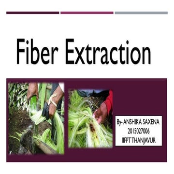 Fibre extraction | PDF