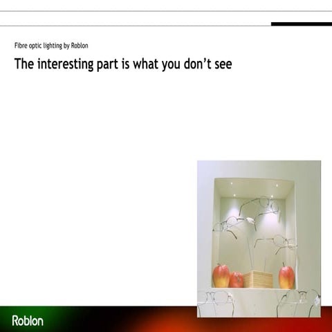 Fibre optic lighting by Roblon - Denmark | PPT