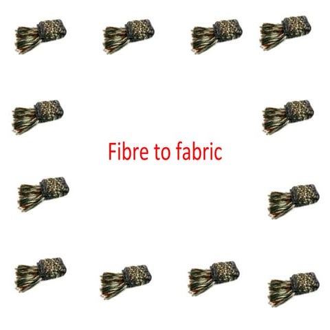 Fibre to fabric | PPT