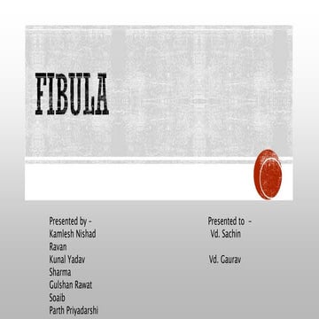 Anatomy of Fibula with Muscle Attachments.pptx