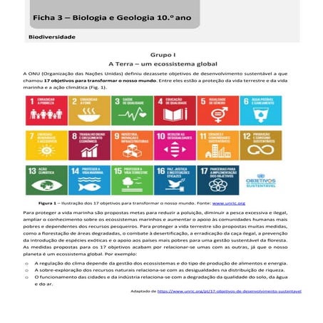Ficha.Bio.10º.Leya.docx