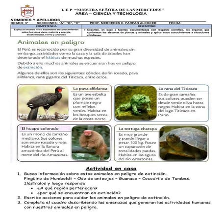 CLASIFICACION DE LOS SERES VIVOS SEGUN SU ALIMENTACION | PDF