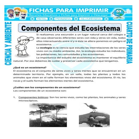 Fichas De Trabajo Sobre Ecosistemas Y Biomas