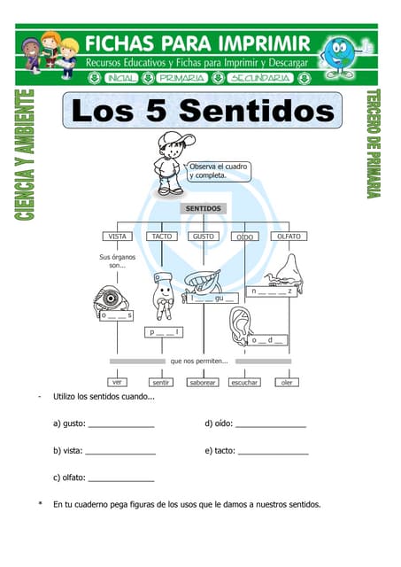 Los sentidos | DOCX