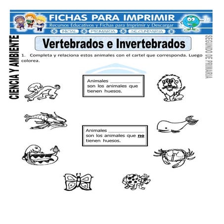 Hoja De Trabajo Sobre Vertebrados 166094 | Clasificación Animales