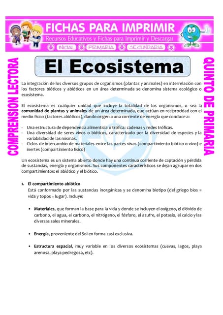 Ciencias naturales | DOCX | Biological Sciences | Science