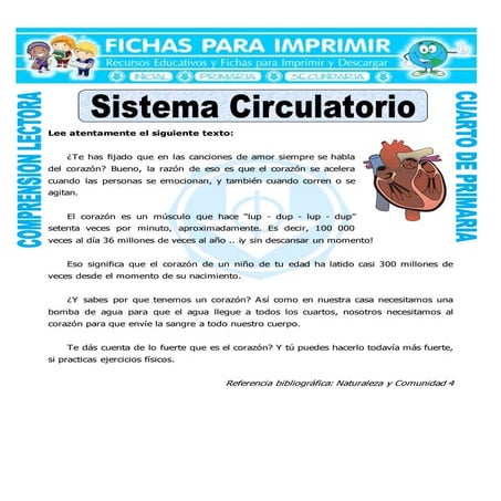 Ficha De El Sistema Circulatorio