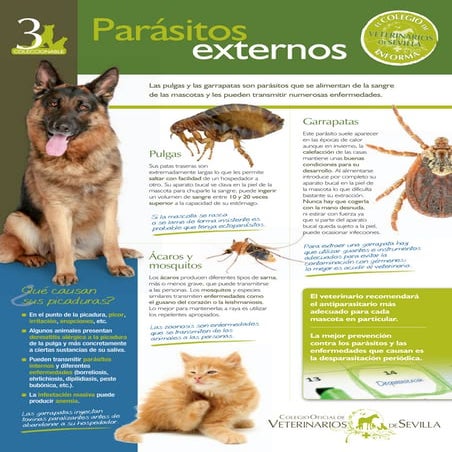Parásitos externos | PDF