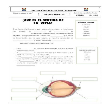 ficha del sentido de la vista 6t.docx