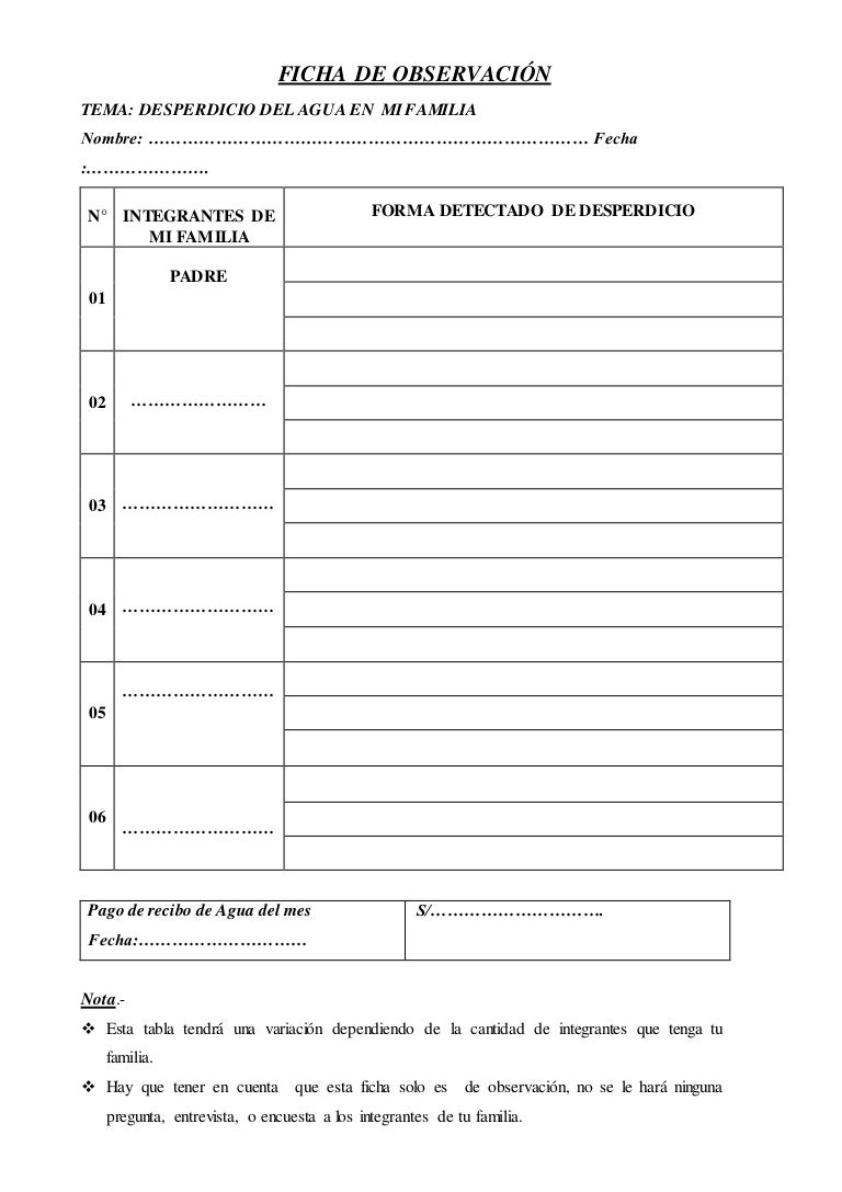 Ejemplo De Una Ficha De Observacion