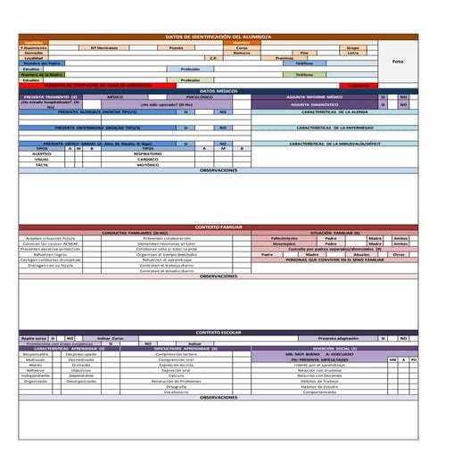 Ficha de recogida de datos infantil y primaria editable | PDF