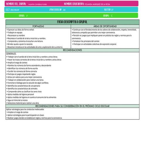 FICHA DESCRIPTIVA GRUPAL.pdf