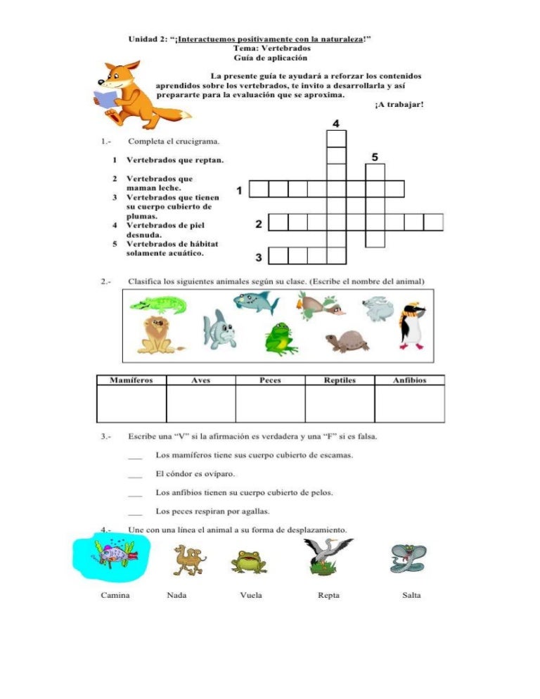 Ficha De Los Animales