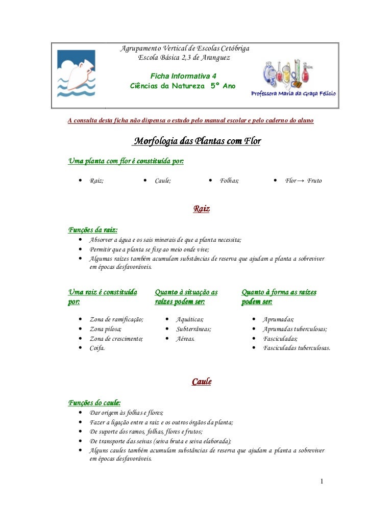 Ficha Informativa 4 Ficha Informativa 4