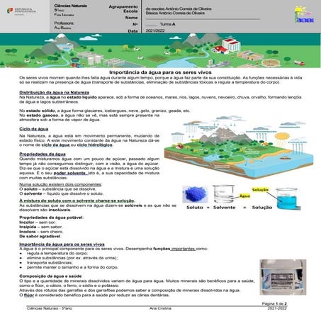 Água - revisões - 5.º ano | PDF