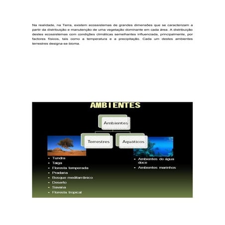 Ficha informativa nº 4 biomas terrestres envio | PDF