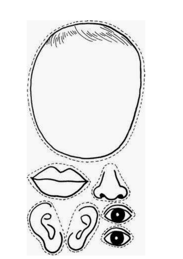 Ficha partes de la cara