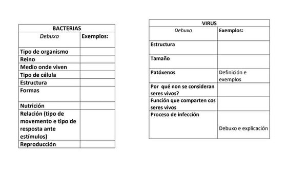 1º control da 2ª avaliación t12 1_2 | PDF