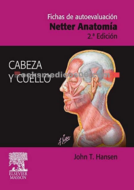 Gsslriveros presentations