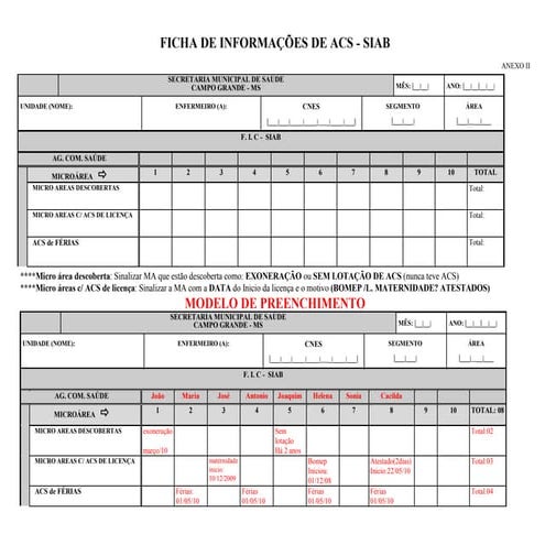 Ficha SIAB ACS | PDF