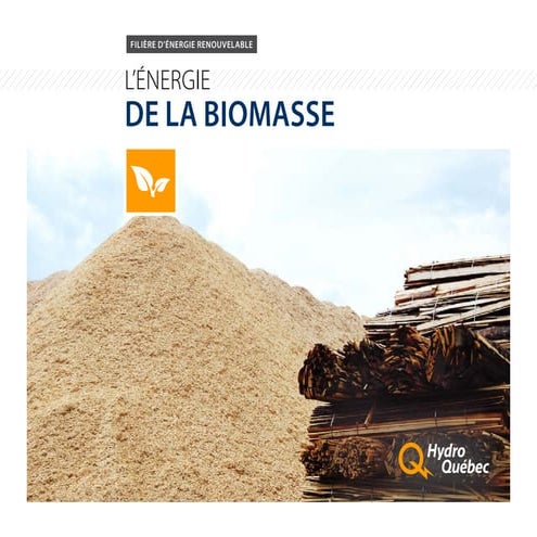 Eco Resources Les Ressources Naturelles | PPTX