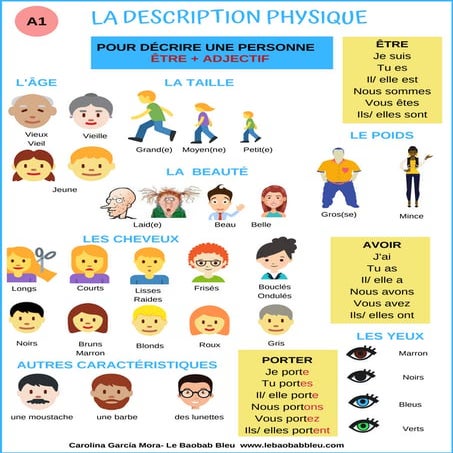 Fiche la description physique (A1) | PDF