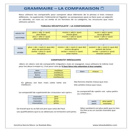 French DELF B1 Vocabulary | PPTX