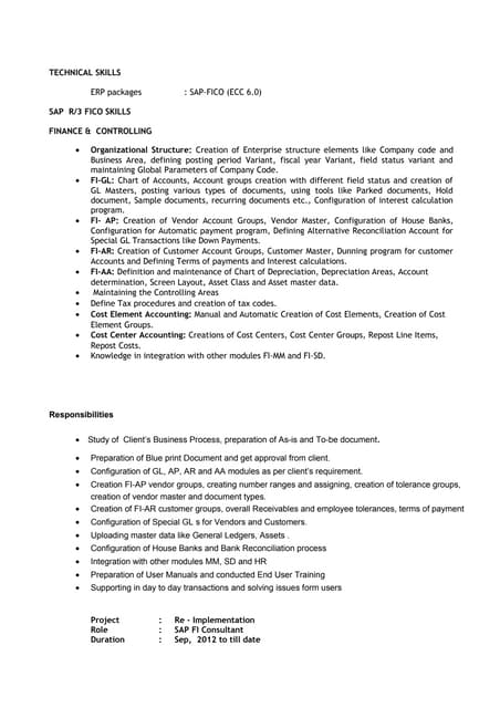 Revised Dinesh Resume | DOC | Business Accounting & Finance | Business