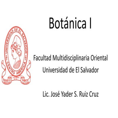 FICOLOGÍA (Morfología, clasificación, carácteres).pdf