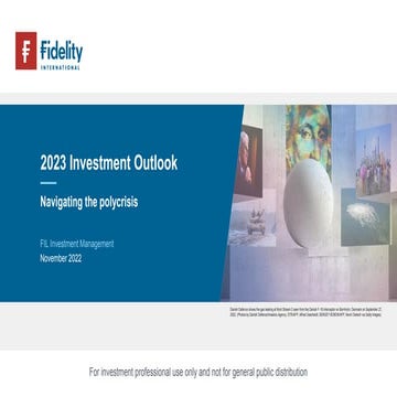 Fidelity - 2023 Investment Outlook | PDF