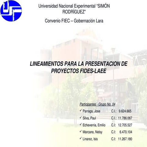 Instructivo para proyectos fides-y-laee | PDF