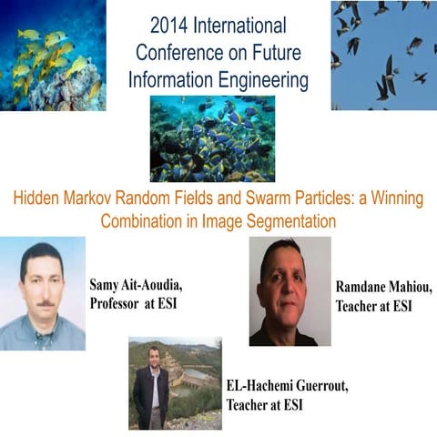 Hidden Markov Random Fields and Swarm Particles: a Winning Combination in Image Segmentation | PPT