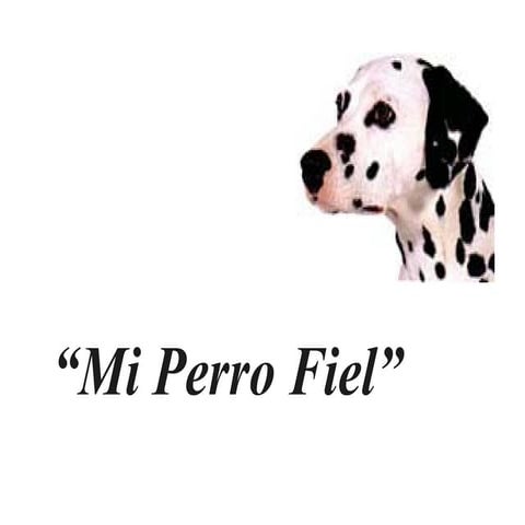 Perro Fiel | PPS