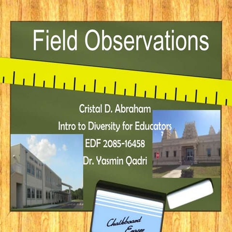 Field Observations Powerpoint | PDF