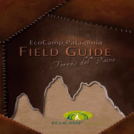 EcoCamp Patagonia - Torres del Paine Field Guide | PDF