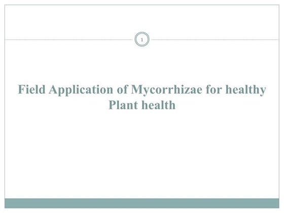 Mycorrhiza Biofertilizer: VAM | PPT