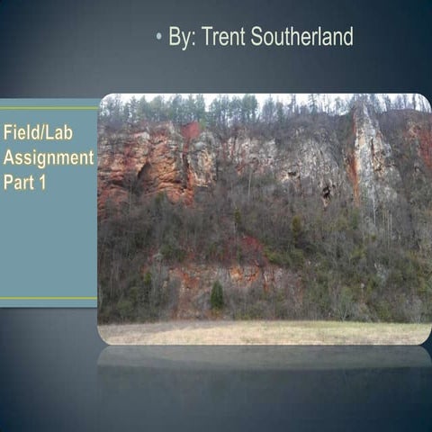 Field assignment part 1 | PPTX