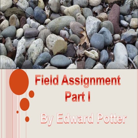 Field assignment part 1 | PPT