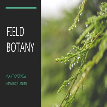 Field botany | PPTX