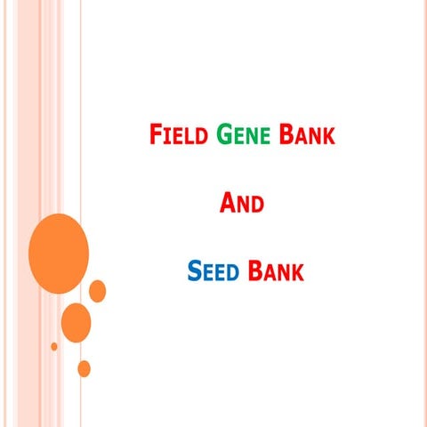 Field gene bank and seed bank bhavubha | PPTX