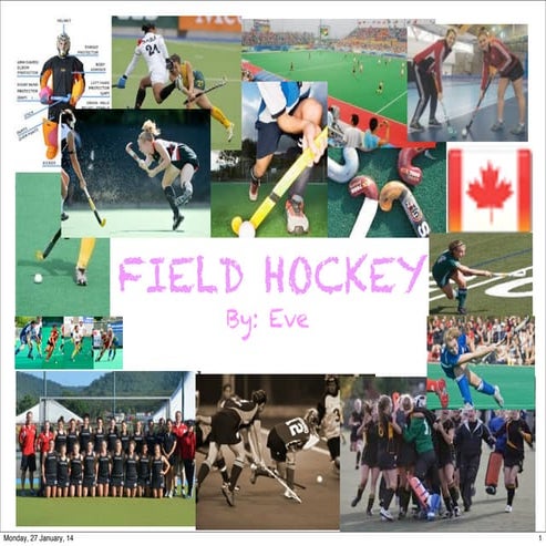 Hockey project class12 | DOCX