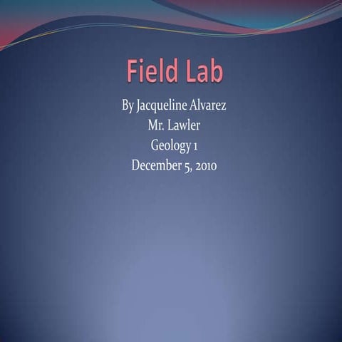 Field lab | PPT