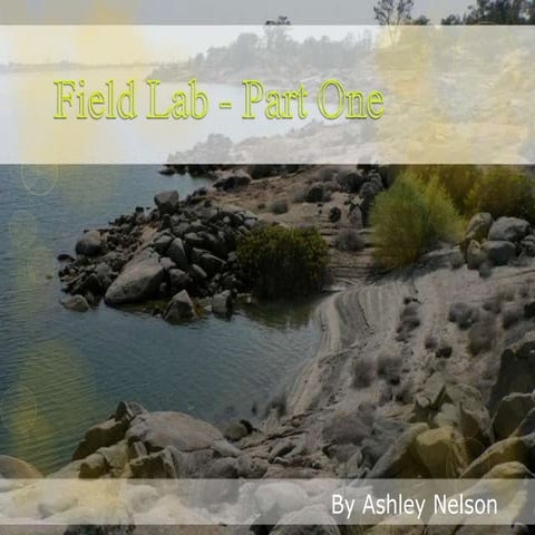 Occuhsoilmapsanddescriptions | PPTX