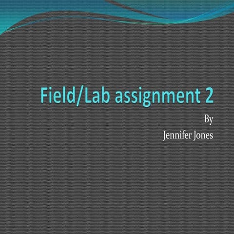 Field lab assignment 2 | PPTX
