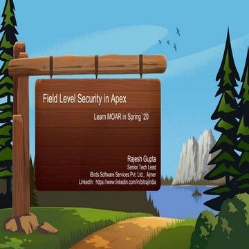 Field Level Security - Spring 20 | PPTX
